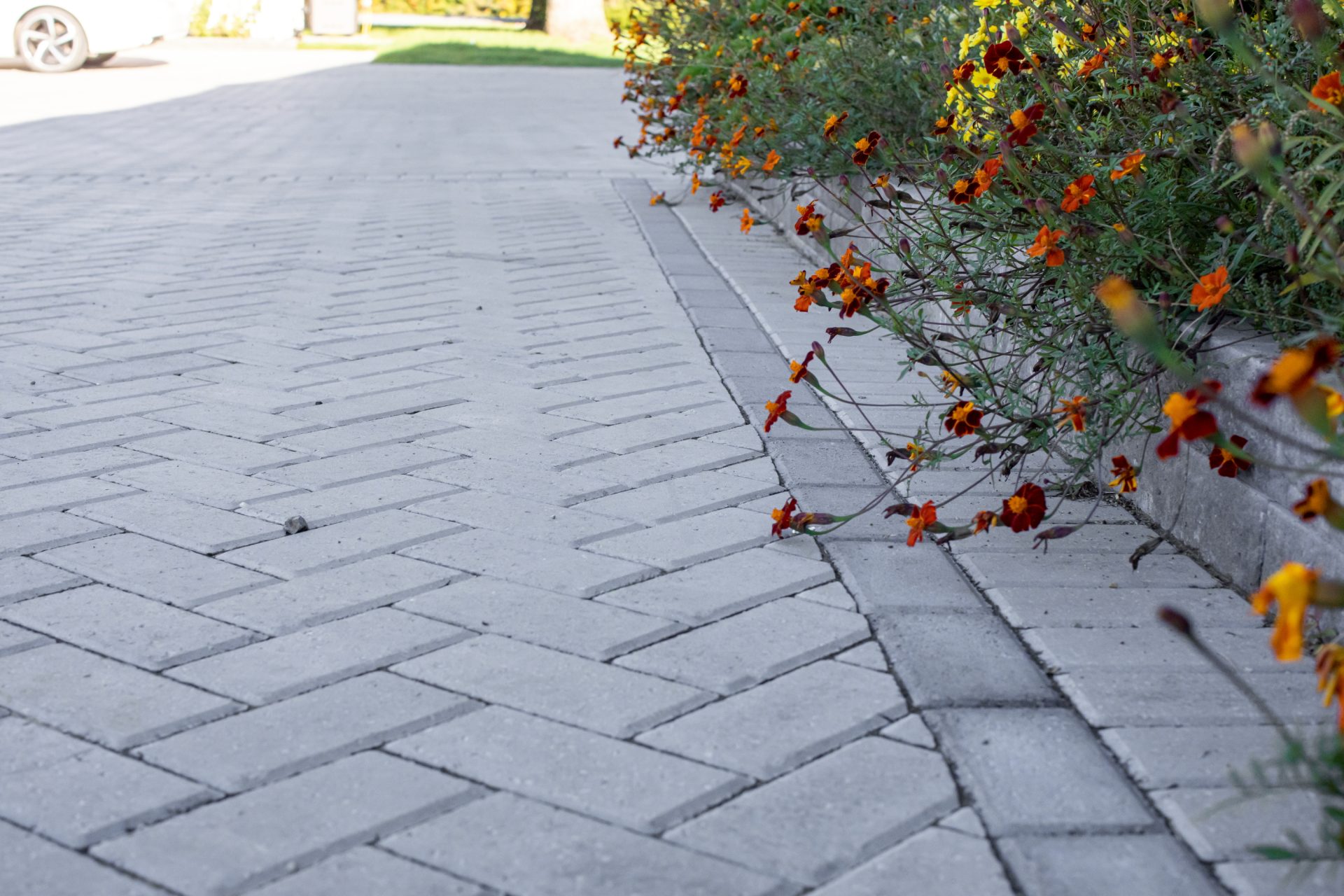 Interpavé Brick 50 mm – Eco-Logic Ecological firelogs